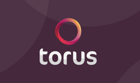 Torus Torus Group Unveils Five Year Corporate Plan Torus Torus Group Unveils Five Year Corporate Plan